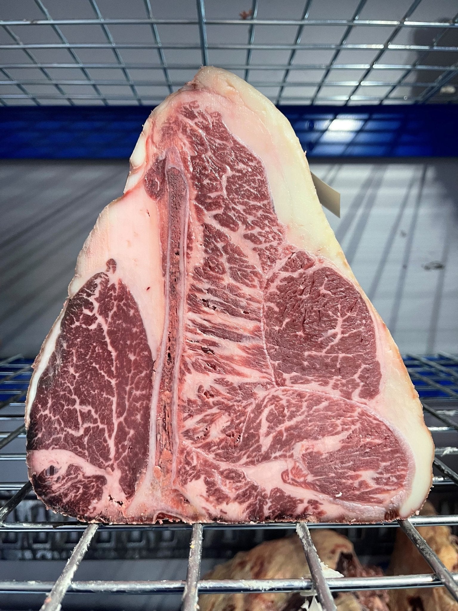 Snake River Farms Gold Wagyu Striploin Grade 9+ - Thomas Joseph Butchery